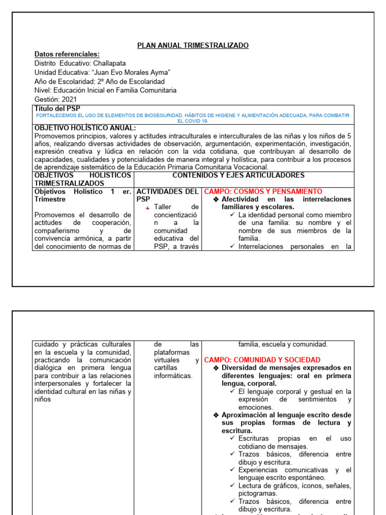modelo de plan anual trimestral | PDF | Escritura | Comunidad