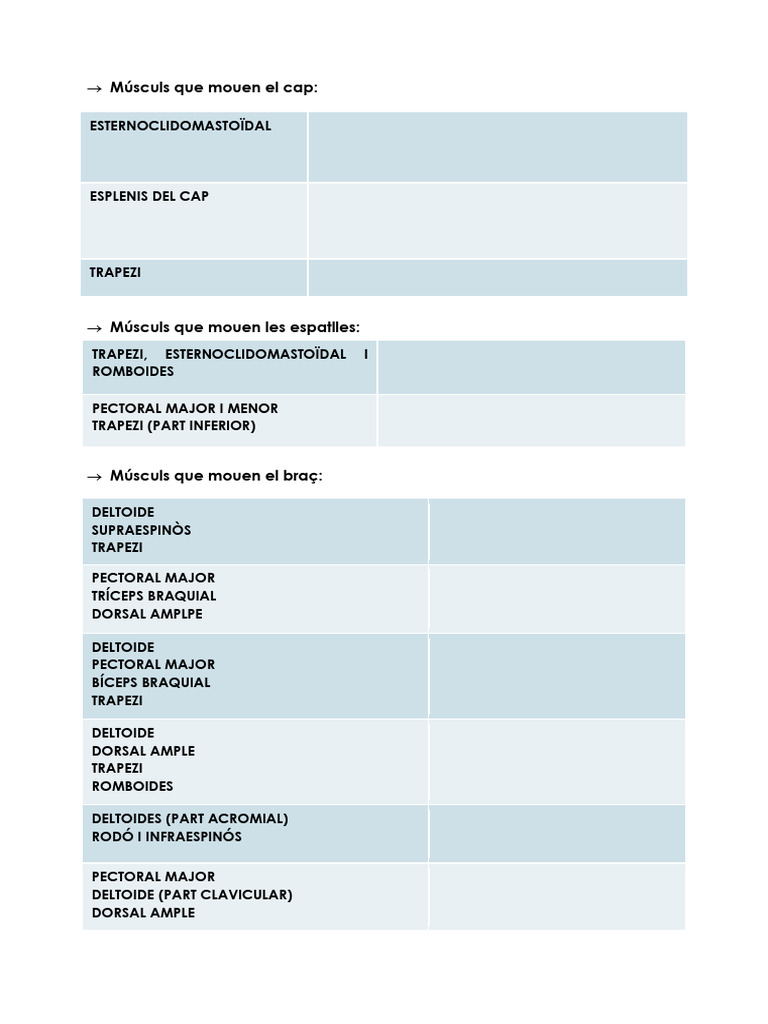 Músculs Que Mouen El Cap | PDF
