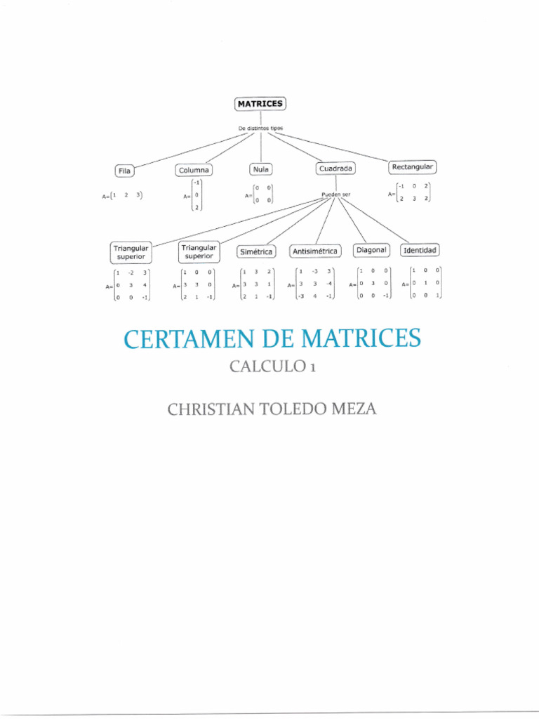 Certamen Matrices | PDF | Matriz (Matemáticas) | Análisis funcional