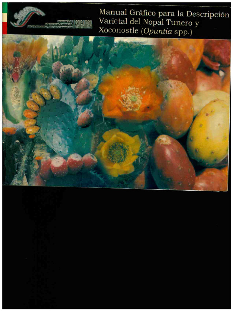 Manual Grafico Nopay y XOCONOXTLE | PDF