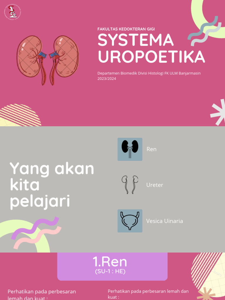 Uro & Integumentum | PDF