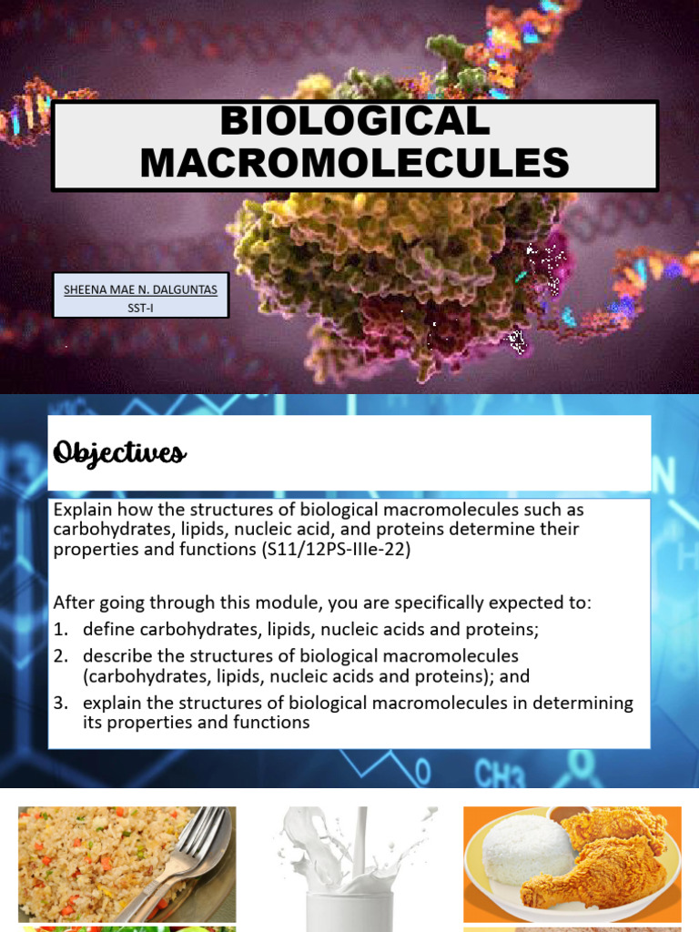 Biological Macromolecules | PDF | Nucleotides | Glucose