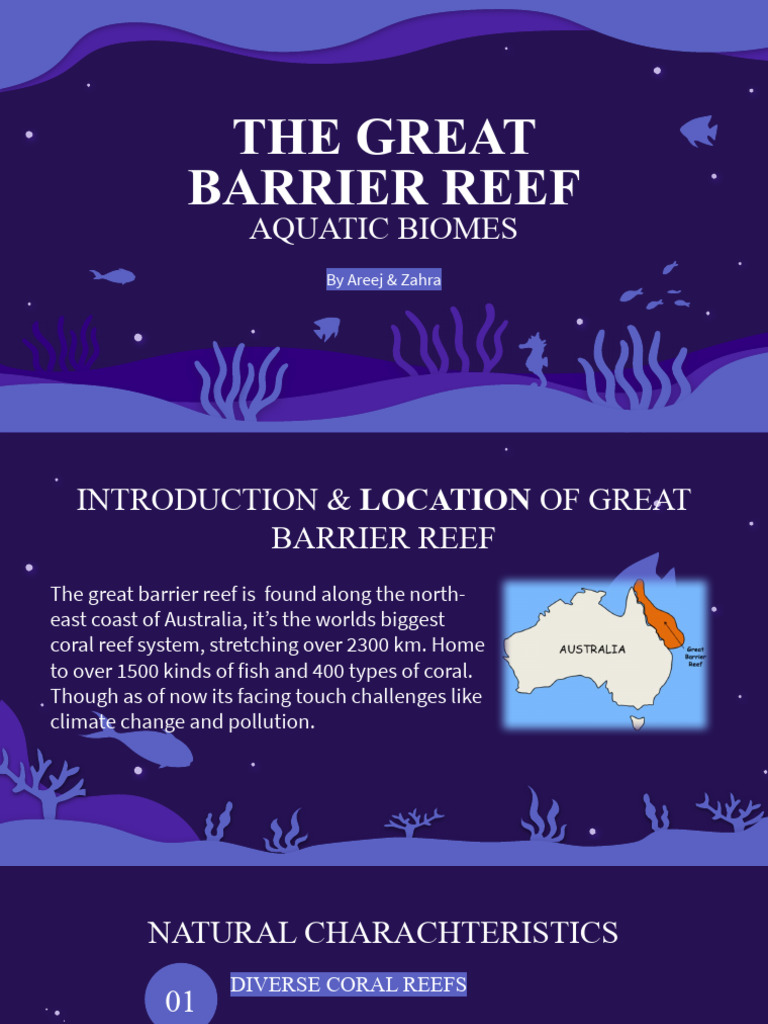 The Great Barrier Reef | PDF | Coral Reef | Eutrophication