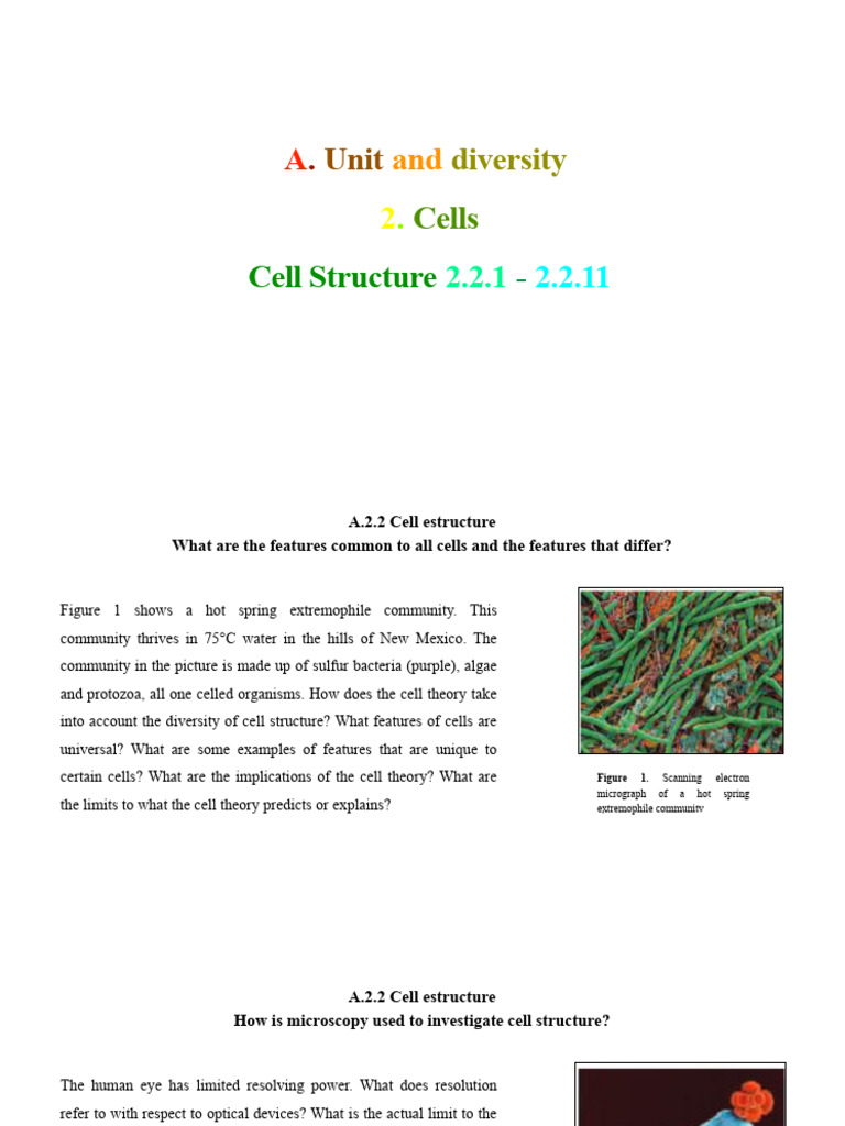 Cell Structure and Microscopy Insights | PDF | Cell (Biology ...