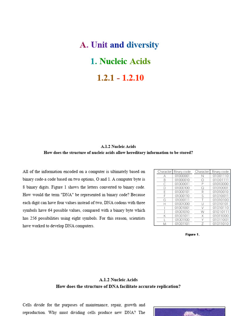 A. Unit y Diversity 1. 2 Nucleic Acids | Download Free PDF | Dna ...