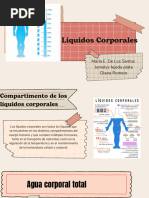 Distribucion de Los Liquidos Corporales | PDF | Biología Celular | Anatomía