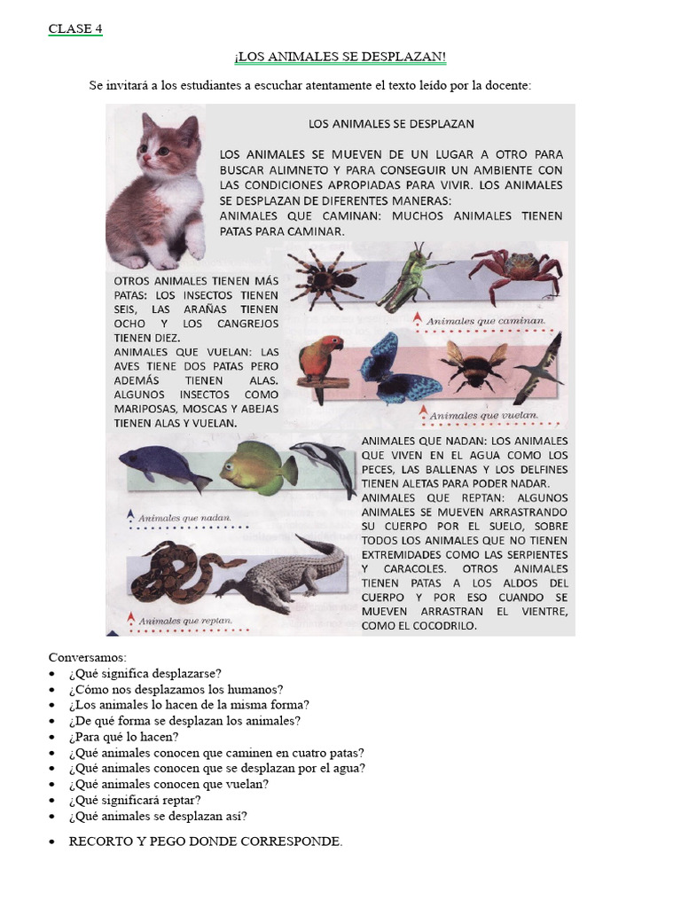 Secuencia Didactica Animales 3 | PDF | Pluma | Aves