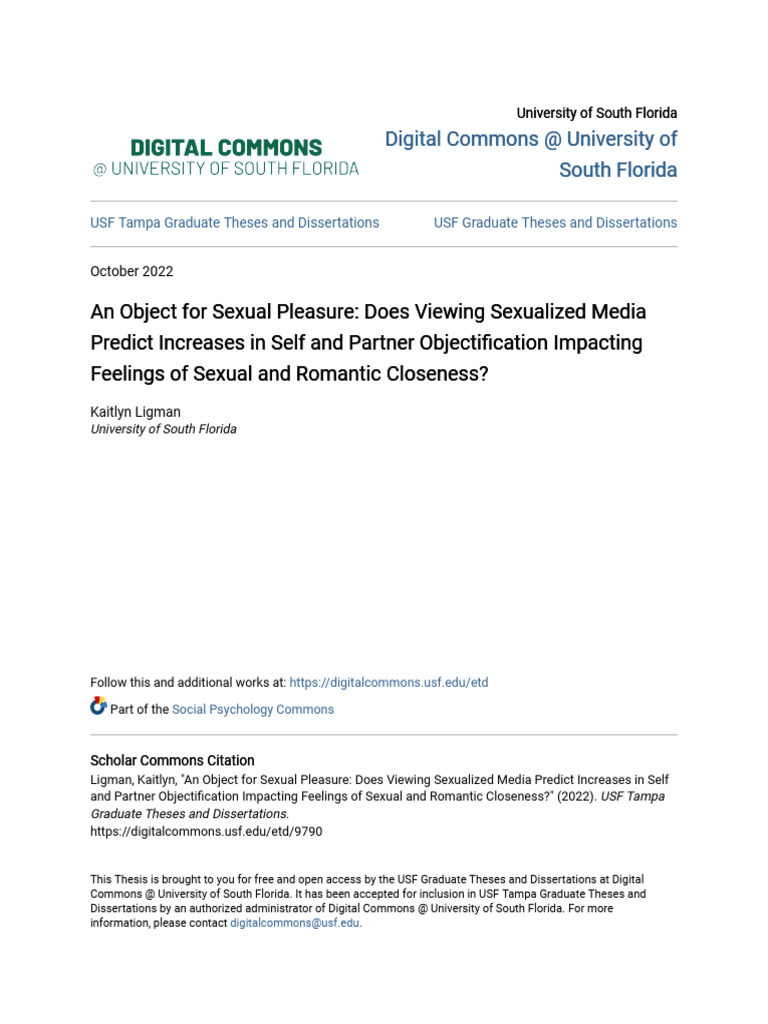 An Object For Sexual Pleasure - Does Viewing Sexualized Media Pred ...