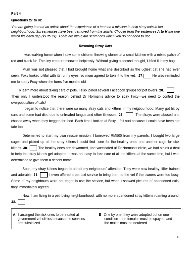 Pat F4 Paper 1 Part 4 | PDF | Cats | Kitten