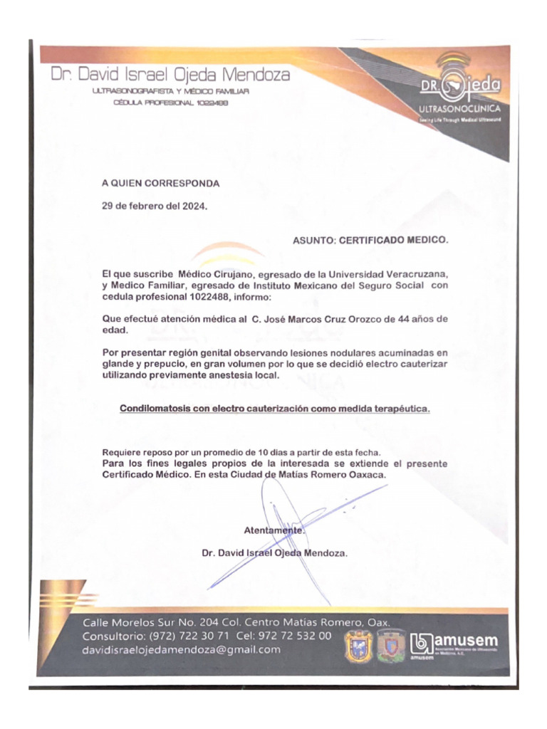 Dr. David Israel Ojeda Mendoza | PDF