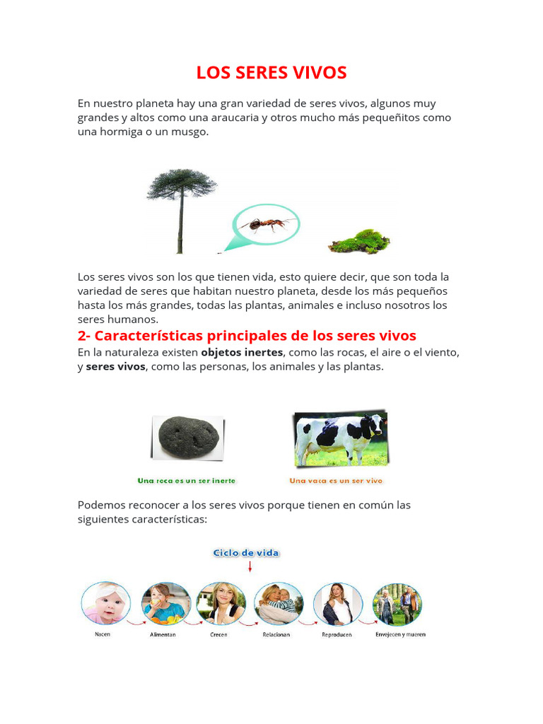 Los Seres Vivos | PDF | Organismos | Nutrición