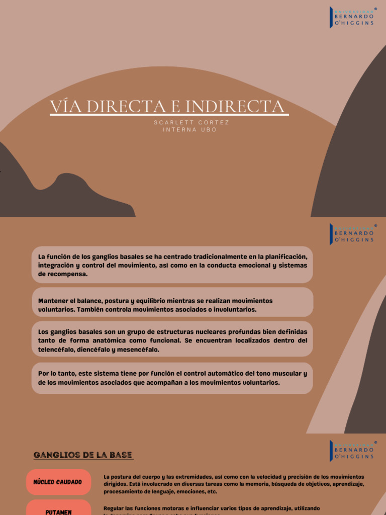 Via Directa e Indirecta | Descargar gratis PDF | Ganglios basales ...