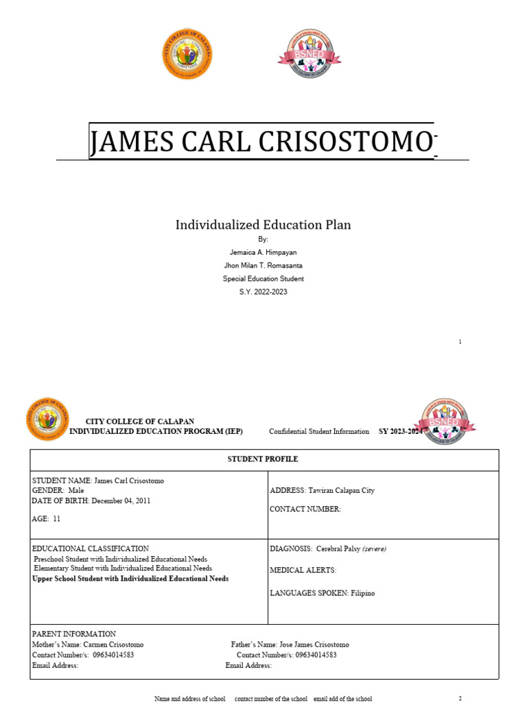 IEP - Sample 3 1 | PDF | Individualized Education Program | Cognitive ...