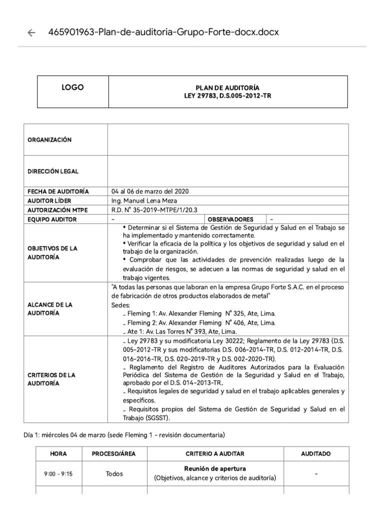 Formato Auditoría | Descargar gratis PDF | Auditoría