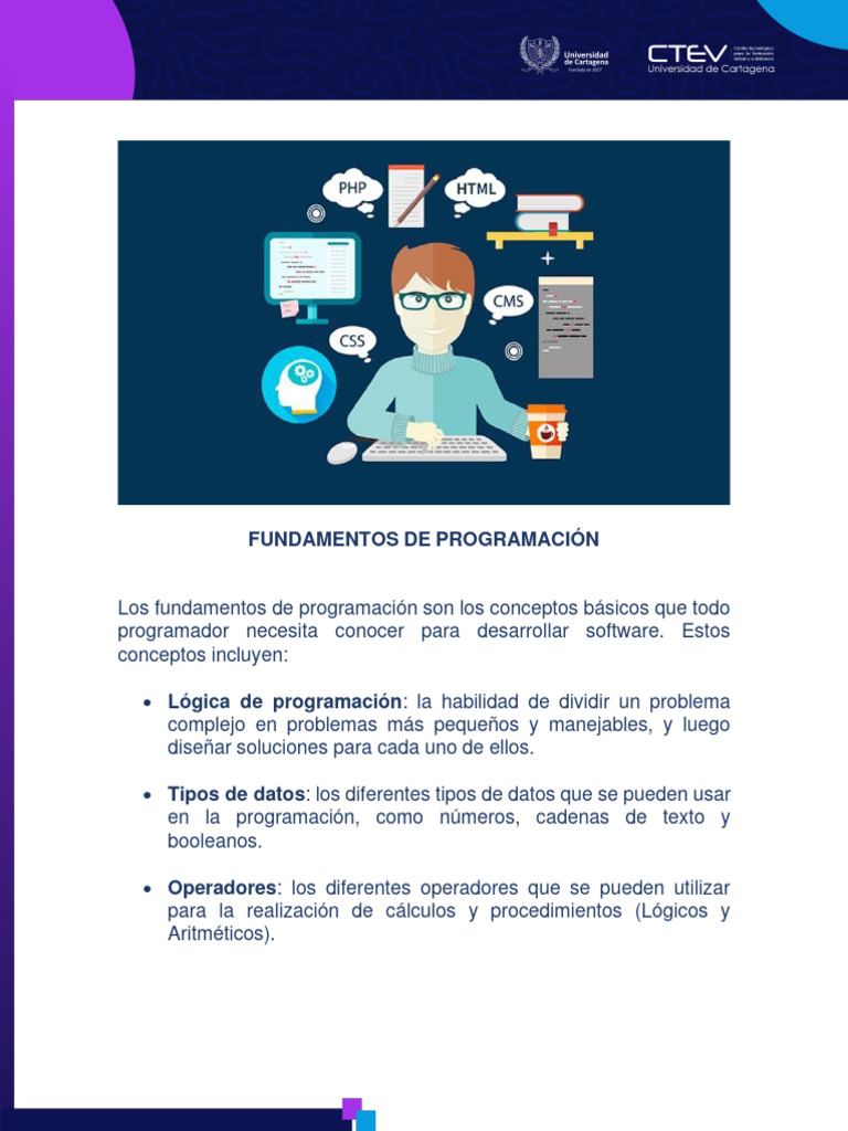 Fundamentos de Programcion | PDF