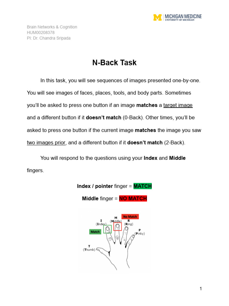 Bnac N-Back and Msit Scanner Task Instructions | PDF | Brain | Psychology