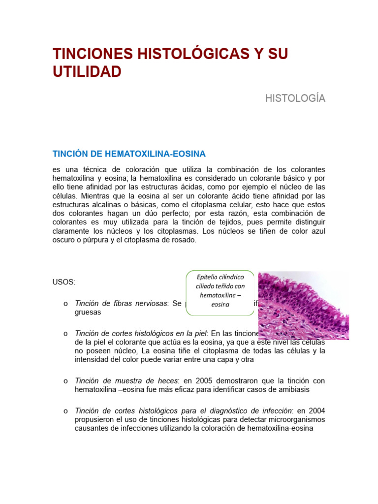 Tinciones Histologicas y Su Utilidad | PDF | Tinción | Medicina CLINICA