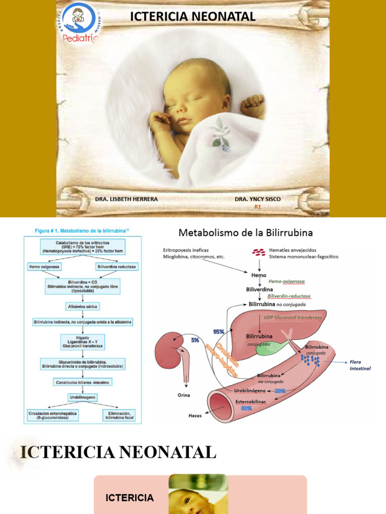 Ictericia Neonatal | PDF | Medicina CLINICA | Enfermedades y trastornos