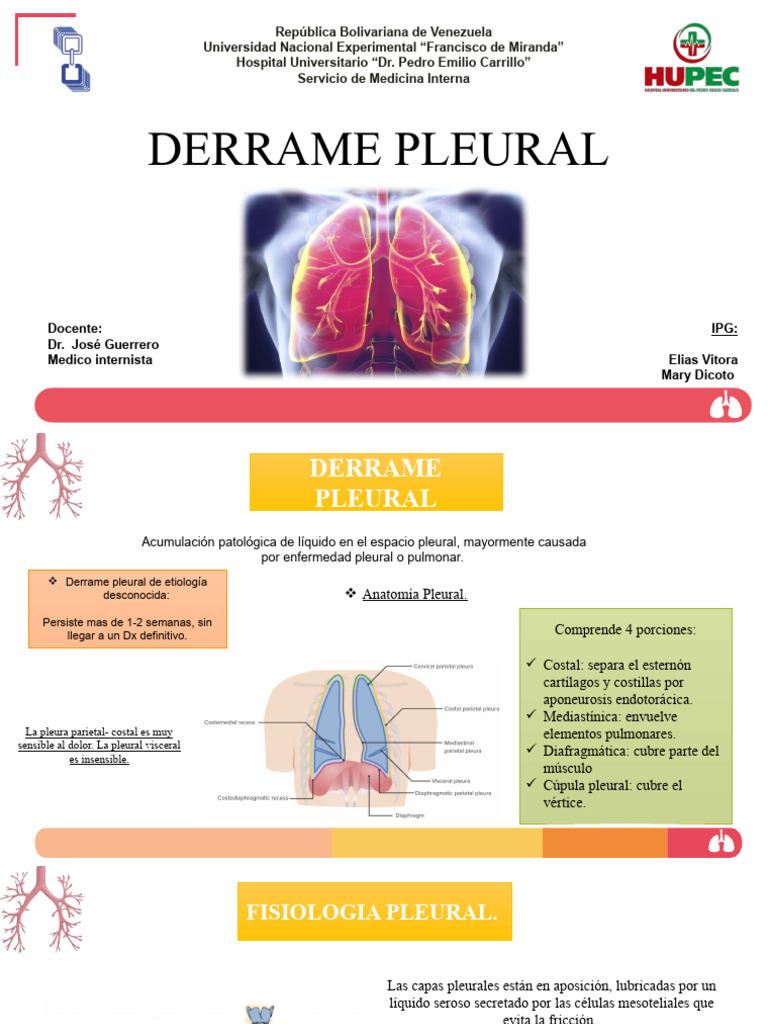 Derrame Pleural Eli | PDF | Enfermedades y trastornos | Medicina CLINICA