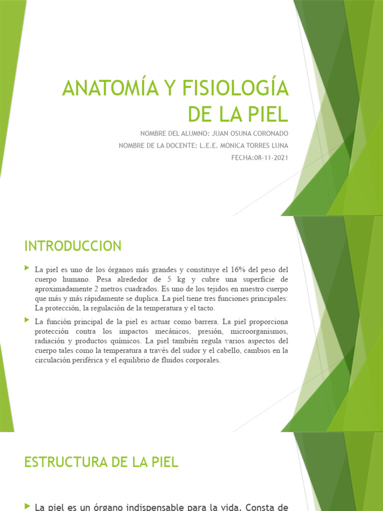 Anatomía y Fisiología de La Piel | PDF | Piel | Epidermis