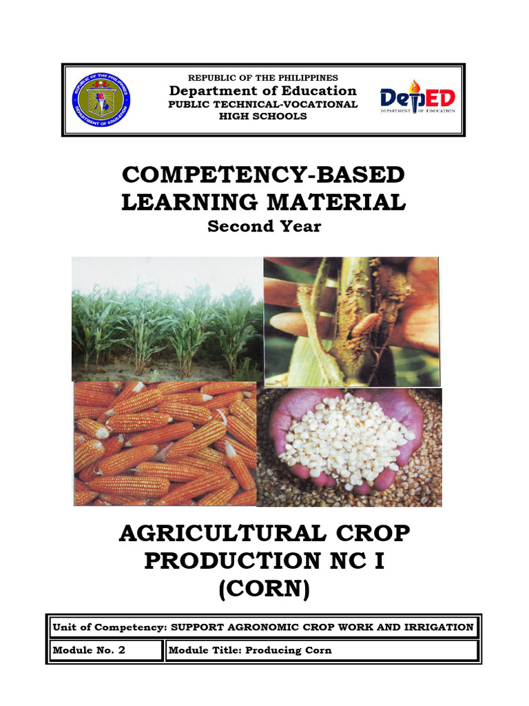 Y2 - Module 2 - Producing Corn | PDF | Maize | Soil