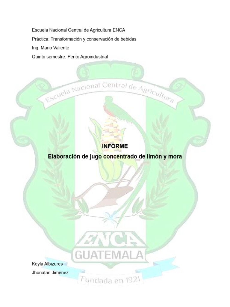 Concentrados | PDF | Fruta | Alimentos