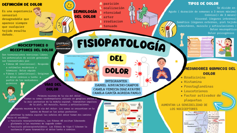 Fisiopatología Del Dolor | Descargar gratis PDF | Dolor | Anatomía