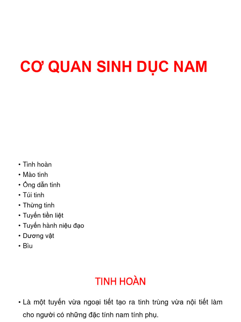 Cơ Quan Sinh D C Nam GP 2 Yk | PDF
