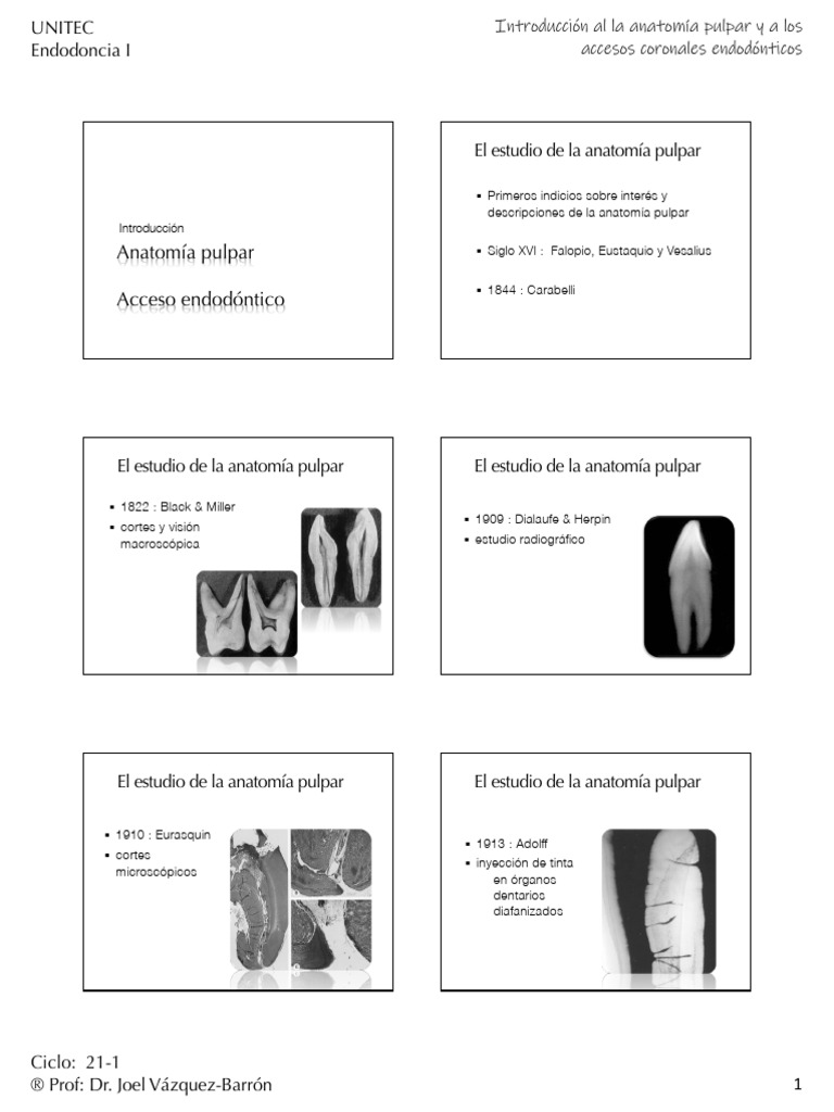 Introducción A La Anatomía Pulpar y Accesos Endodónticos (21-1) | PDF ...