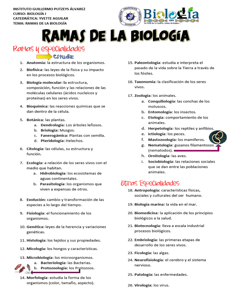 Ramas de La Biología | PDF | Biología | Organismos