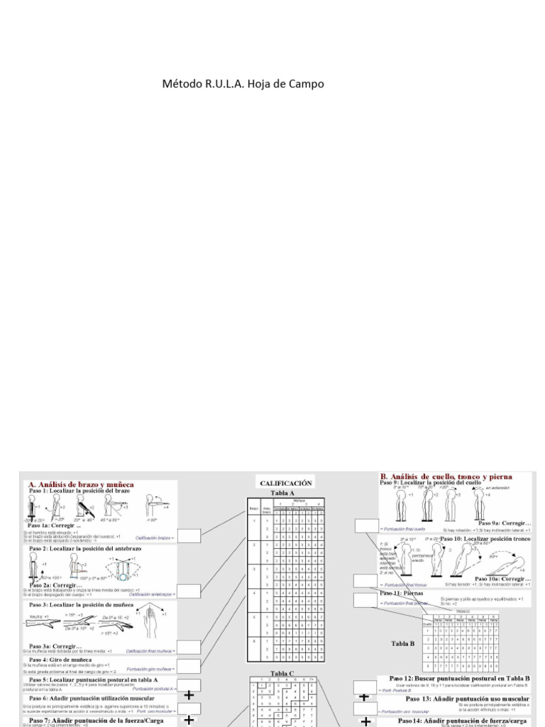 Metodo Rula Hoja-De-Campo | PDF
