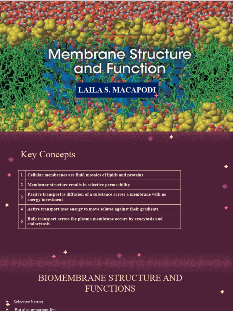 Macapodi - Biomembrane Function and Structure | PDF | Lipid Bilayer ...