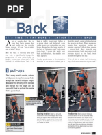 Trap 3 Raise Exercise Guide | PDF | Shoulder | Arm