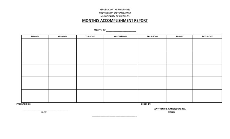 Bhw Accomplishment Report Sample | PDF