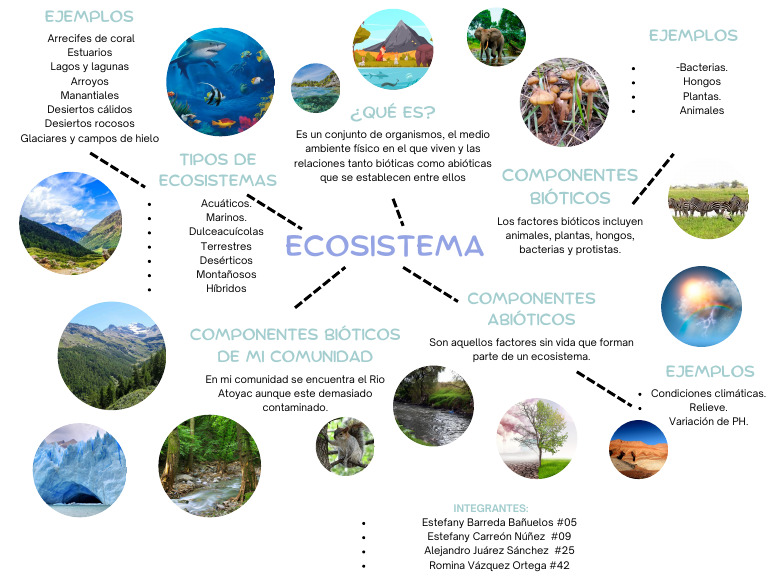 MAPA DE ARAÑA ECOSITEMA | PDF | Ecosistema | Ecosistema acuático