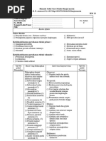 SDKI, SLKI, SIKI Risiko Infeksi | PDF | Kesehatan Holistik