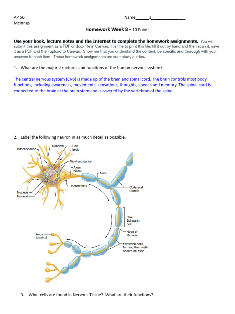 Ap50 HW8 | PDF | Depolarization | Nervous System