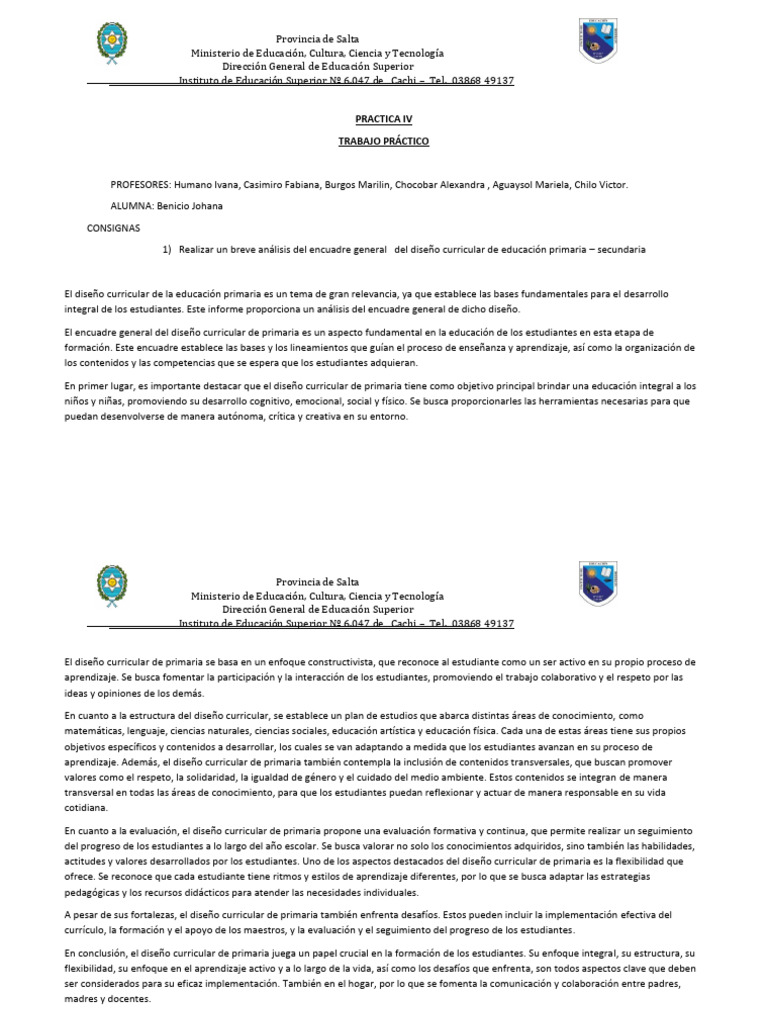 PRACTICA IV DISEÑO CURRICULAR PRIMER CICLO PRIMARIA | PDF | Evaluación | Aprendizaje
