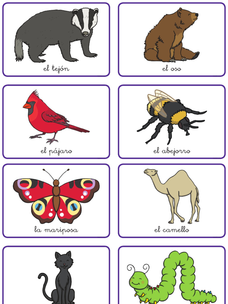 Es T DC 239 Los Animales Tarjetas Educativas | PDF | Zoología