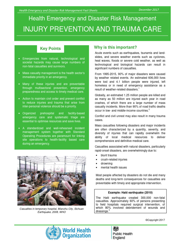 Risk Management Injuries December2017 | PDF | Emergency | World Health ...