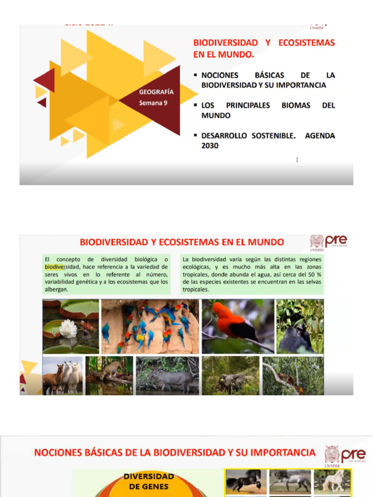 Geografía Sem9 Biodiversidad Y Ecosistemas Del Mundo Pdf