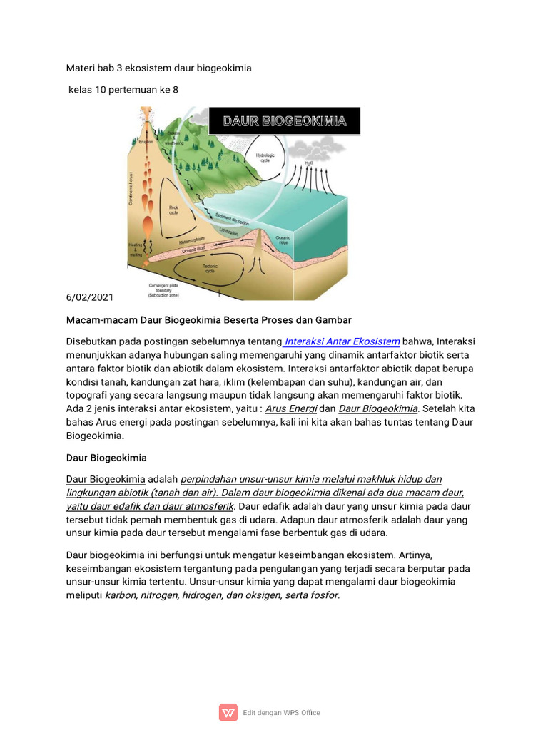 Daur Biogeokimia dalam Ekosistem Kelas 10 | PDF