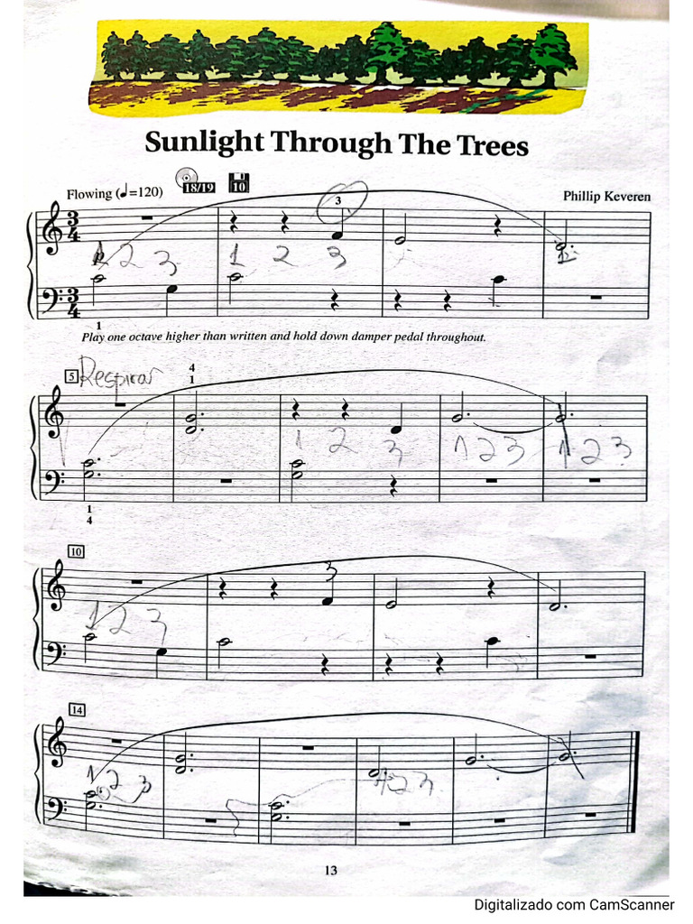Sunlight Through The Trees | PDF