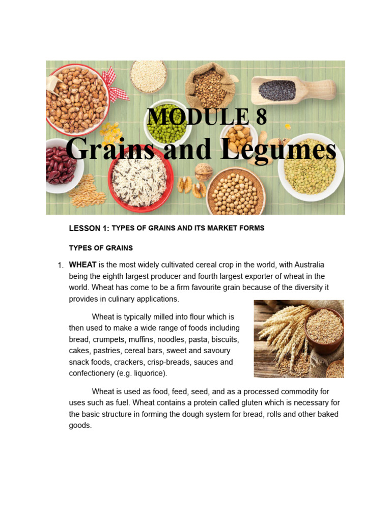 Module 8 Rice Grains and Legumes | PDF | Flour | Cereals