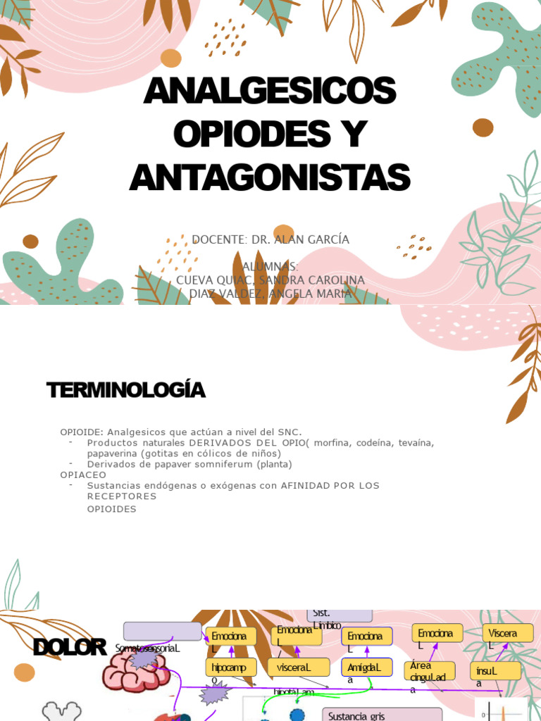 Opioides Expo Pdf Opioide Drogas Que Actúan Sobre El Sistema Nervioso