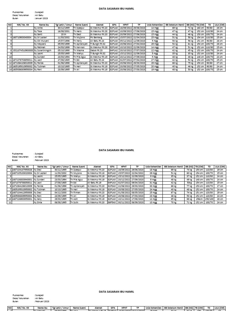Data Sasaran Bumil | PDF