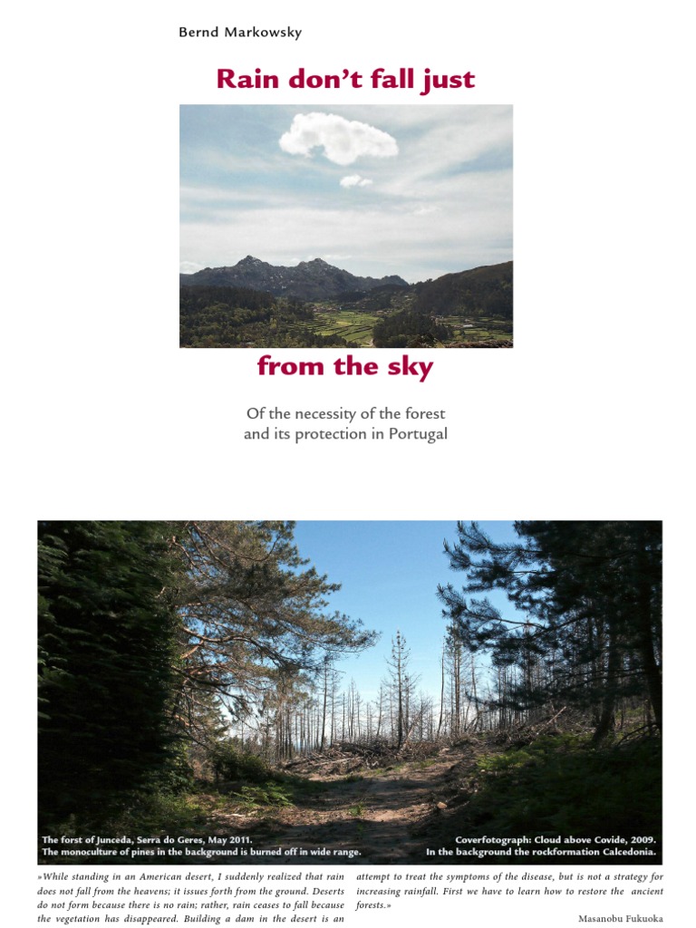 Booklet Forest Portugal | PDF | Portugal | Eucalyptus