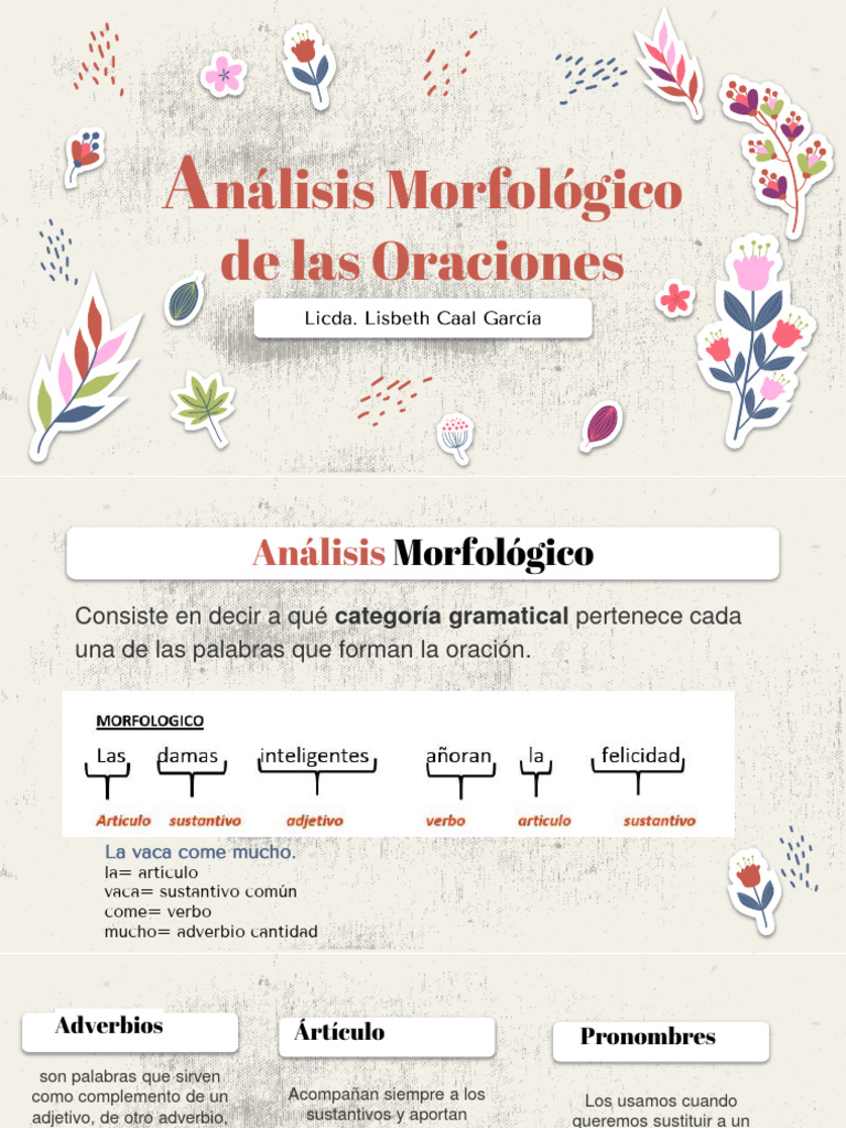 Análisis Morfológico | PDF | Sustantivo | Palabra
