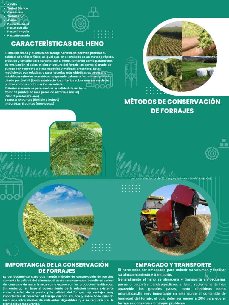 Métodos de Conservación de Forrajes | PDF | Pasto
