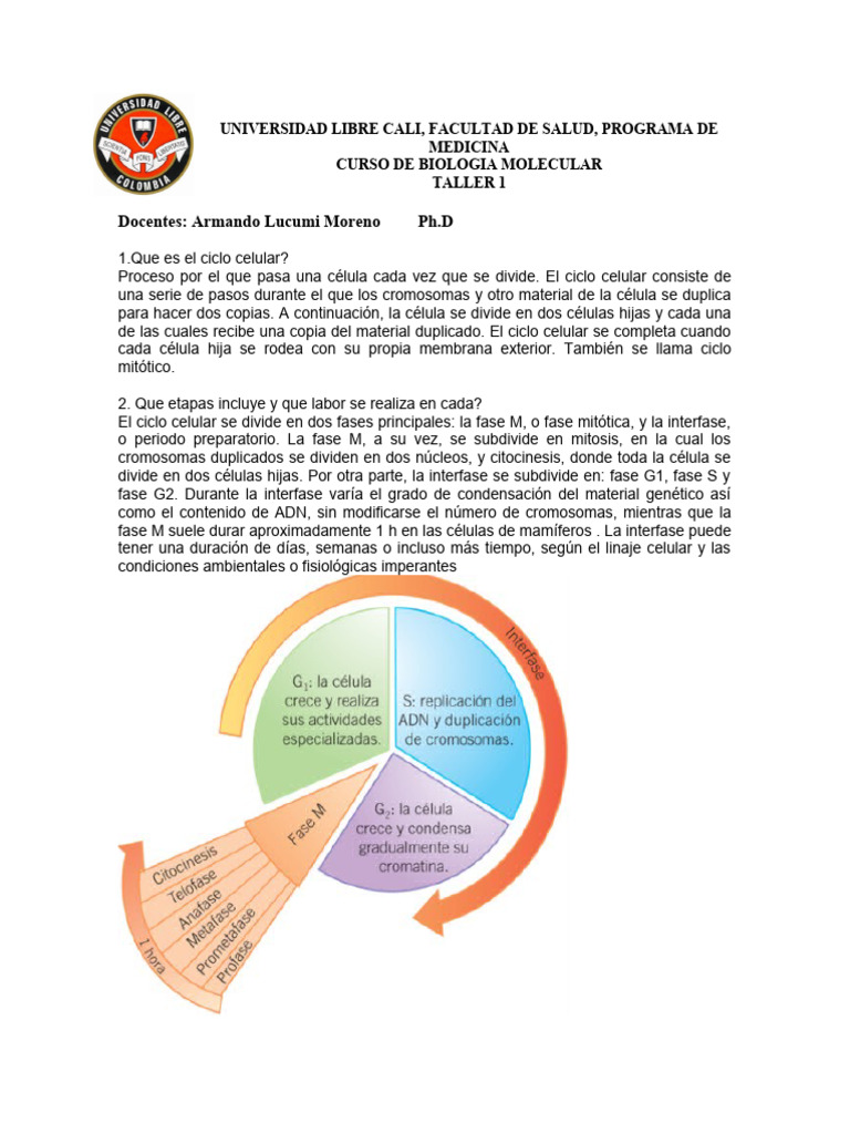 Taller 1 Biomol Unilibre Ciclo Celular y Estructura de Acidos Nucleeicos Genes, Genomas y ...